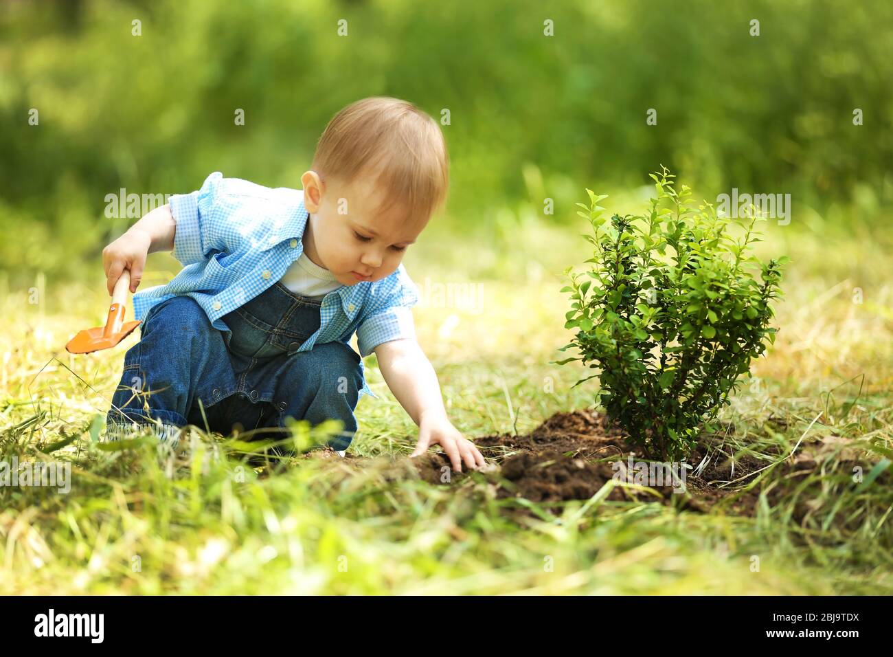 Cute baby boy planting tree in garden Stock Photo - Alamy