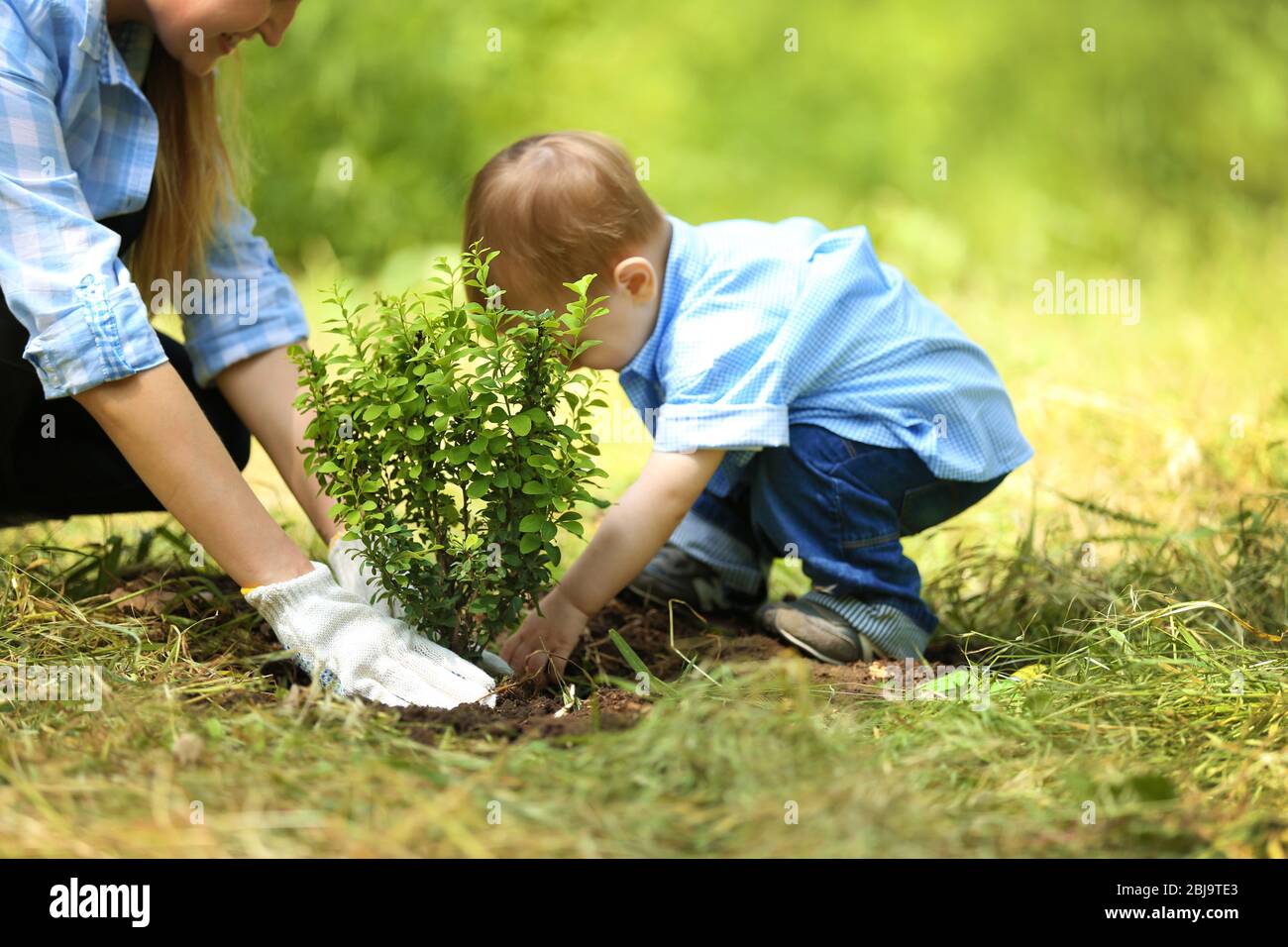 Cute baby boy planting tree with parent in garden Stock Photo - Alamy