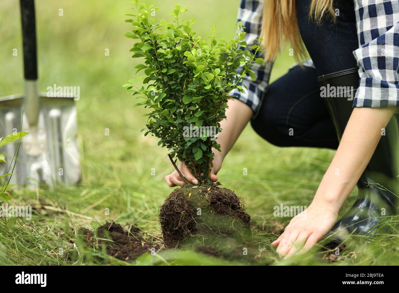 Natural Woman Tree Planting Girls