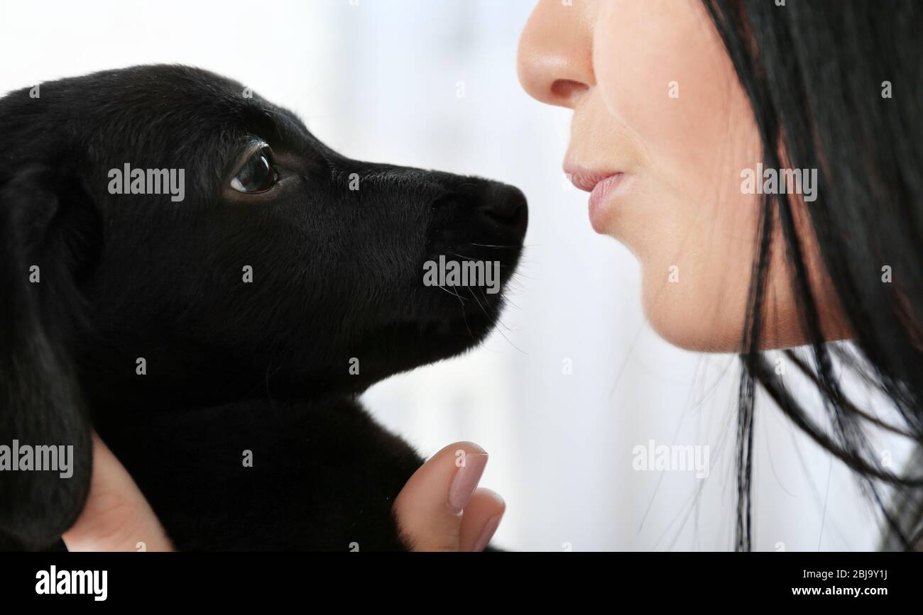Beautiful girl kissing with Labrador, closeup Stock Photo - Alamy