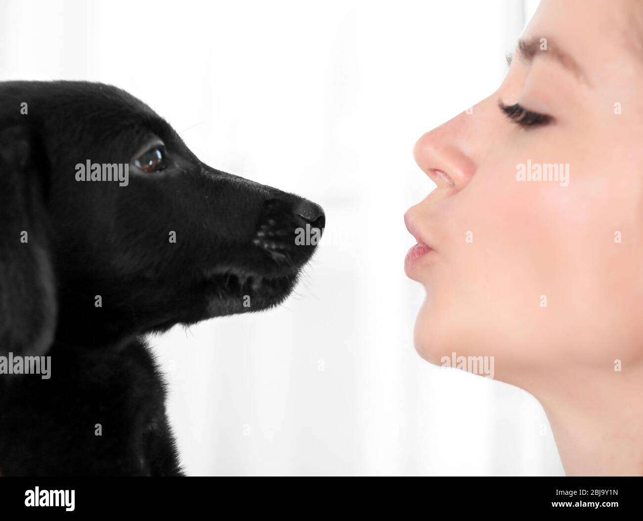 Beautiful girl kissing with Labrador, closeup Stock Photo - Alamy