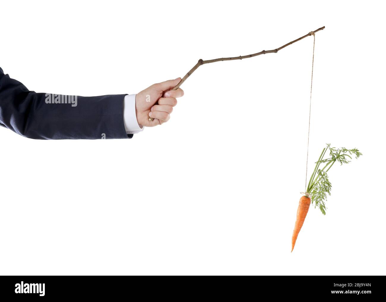 Motivation concept of hanging carrot on stick, isolated on white Stock ...