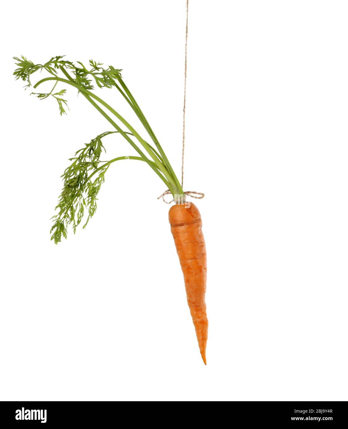 Hanging carrot, isolated on white Stock Photo - Alamy