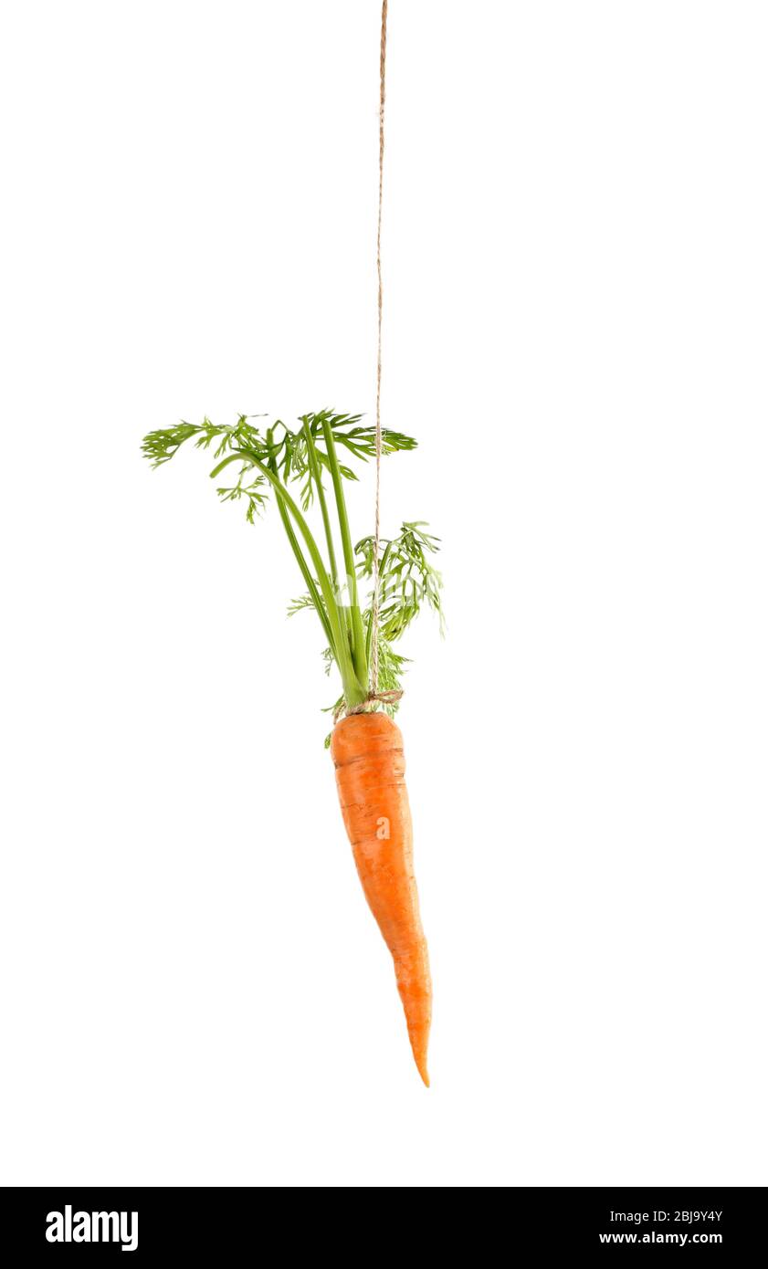 Hanging carrot, isolated on white Stock Photo - Alamy