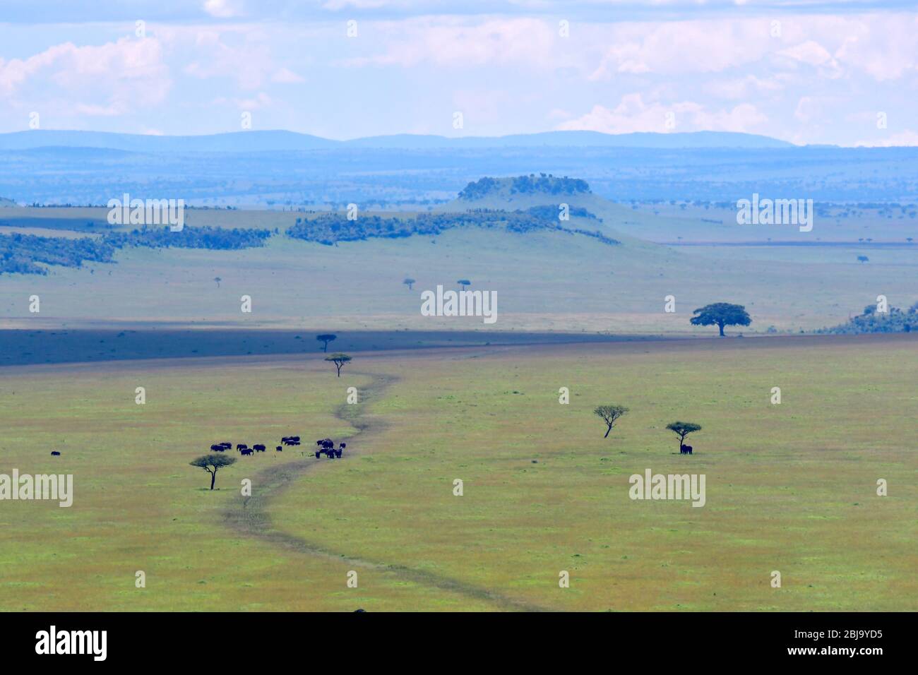 Mara engai view hi-res stock photography and images - Alamy