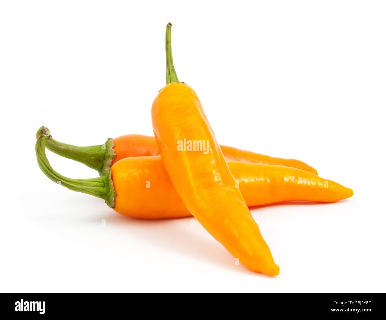 orange hot chili pepper isolated on a white background Stock Photo - Alamy