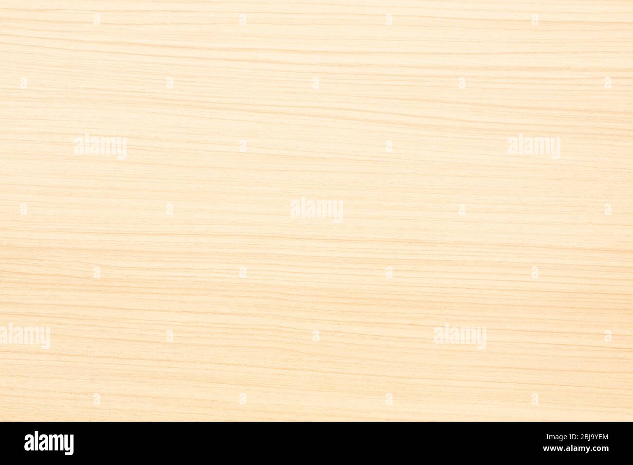 High resolution blonde wood texture Stock Photo - Alamy