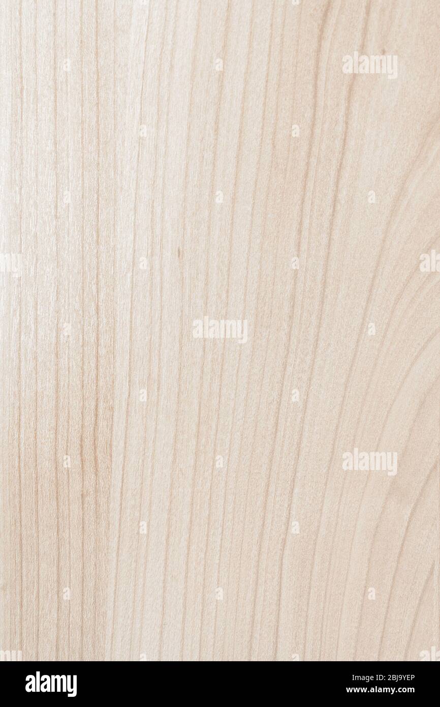High resolution blonde wood texture Stock Photo - Alamy