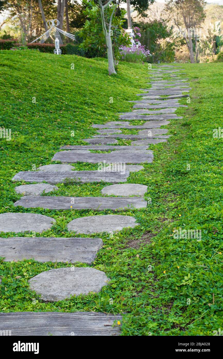 pattern of square cement floor tiles with green grass blackground Stock ...