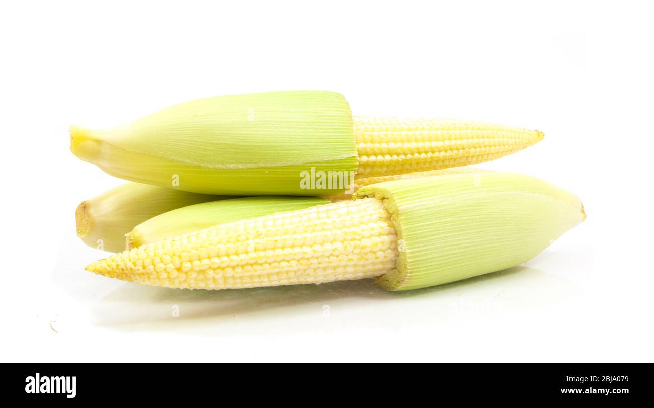 baby corn isolated on white background Stock Photo - Alamy