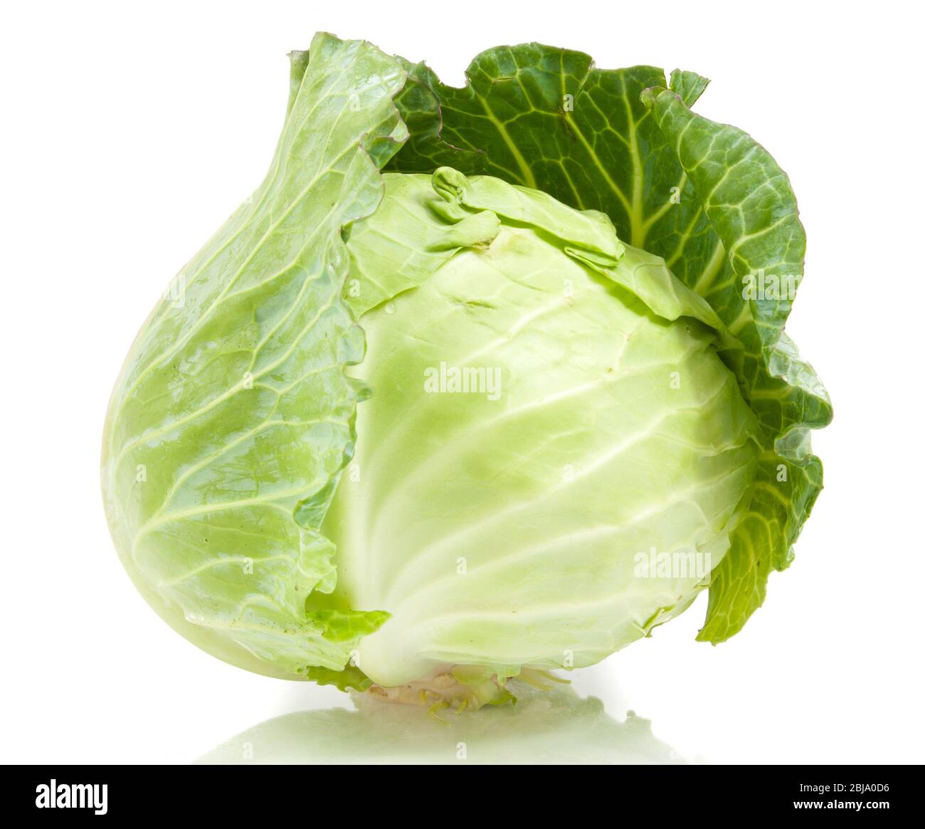 green cabbage isolated on white background Stock Photo - Alamy
