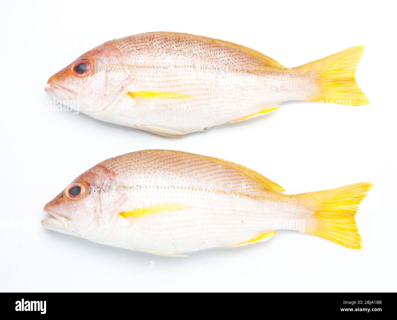delicious portion of fresh fish isolated on white Stock Photo - Alamy