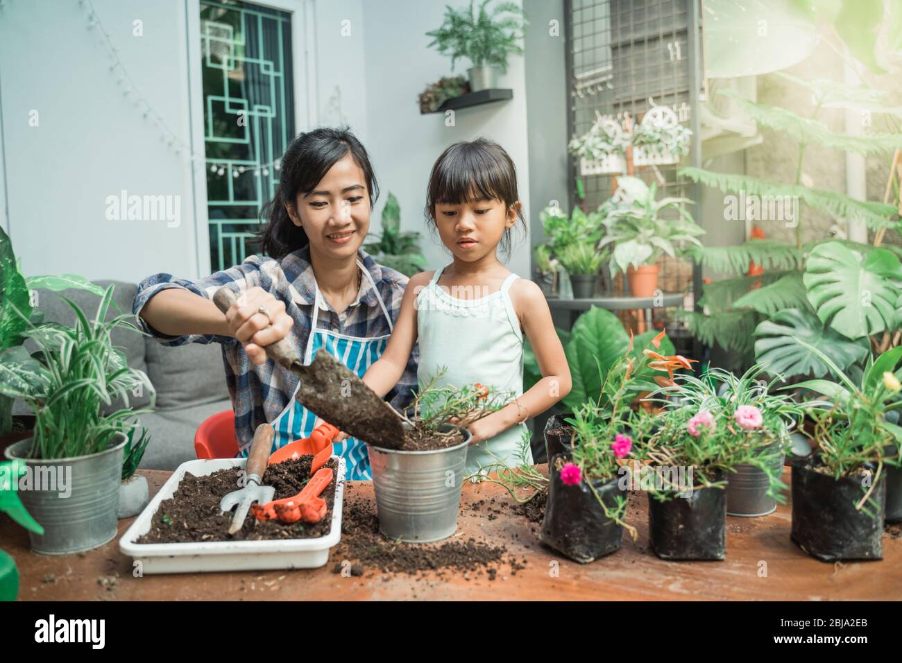 young mother and her daughter planting garden at home Stock Photo - Alamy