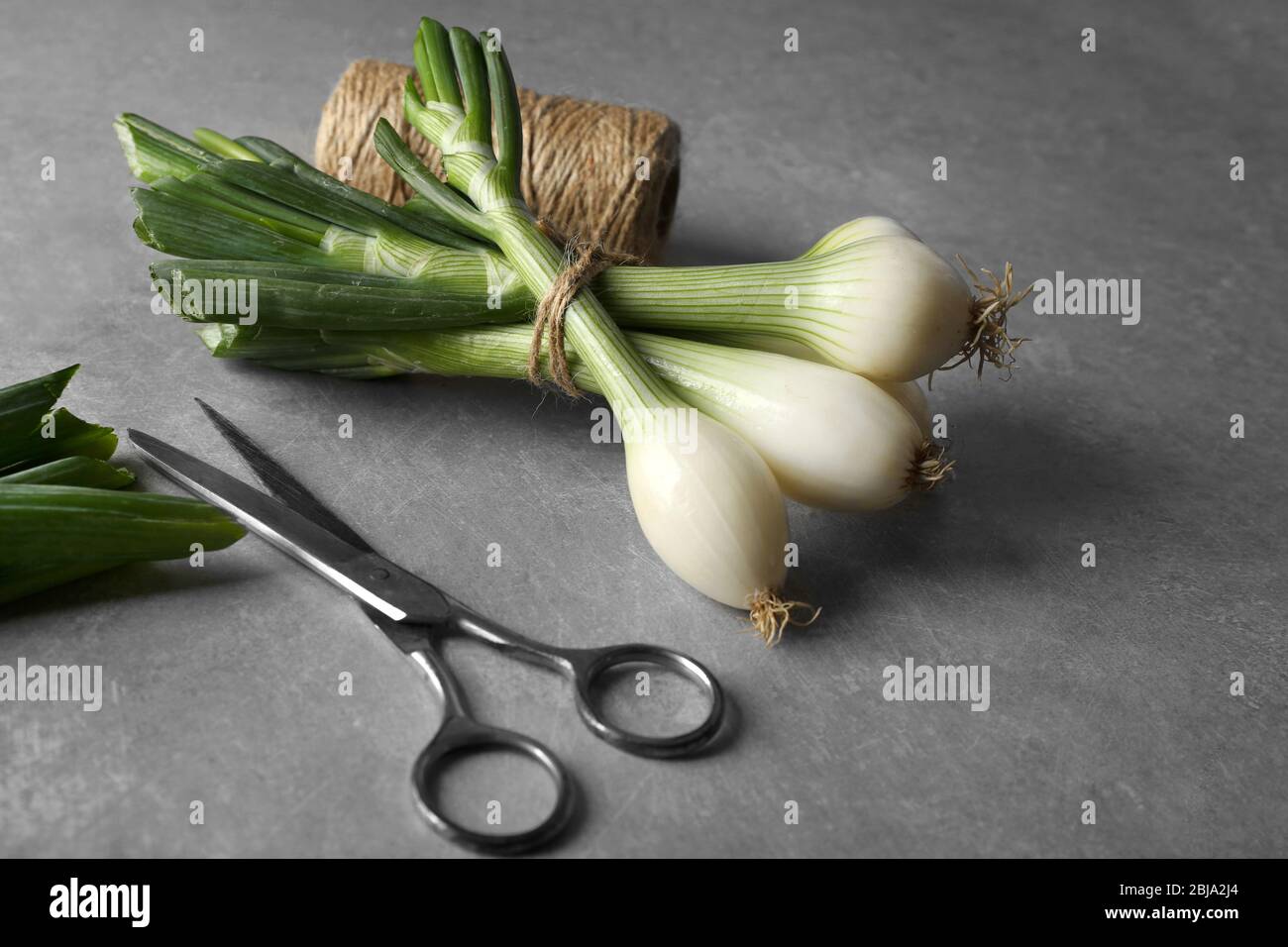 Onion plant scissors hi-res stock photography and images - Alamy