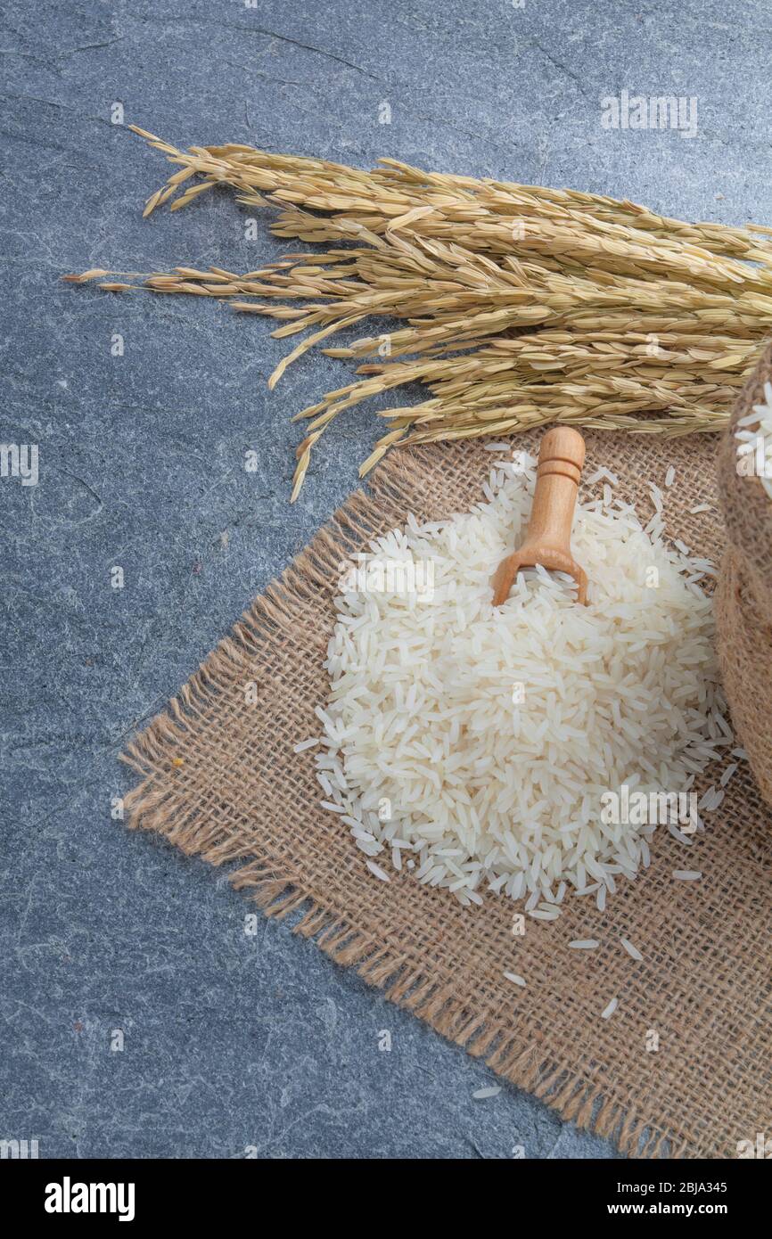 thai fragrant jasmine rice in a spoon with gold spike on Sack Stock ...