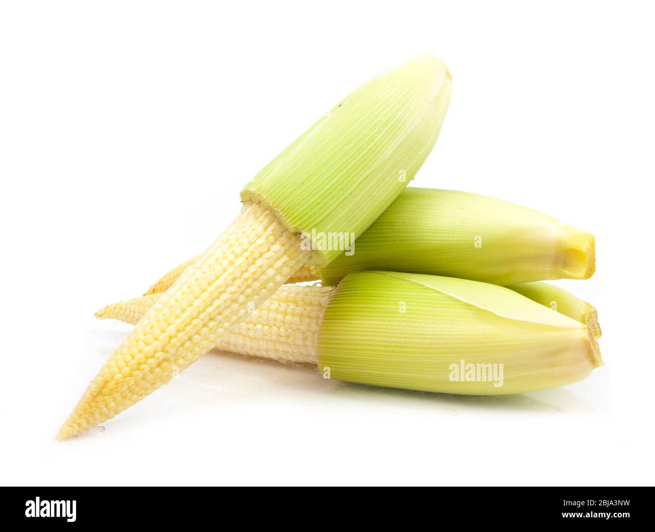 baby corn isolated on white background Stock Photo - Alamy