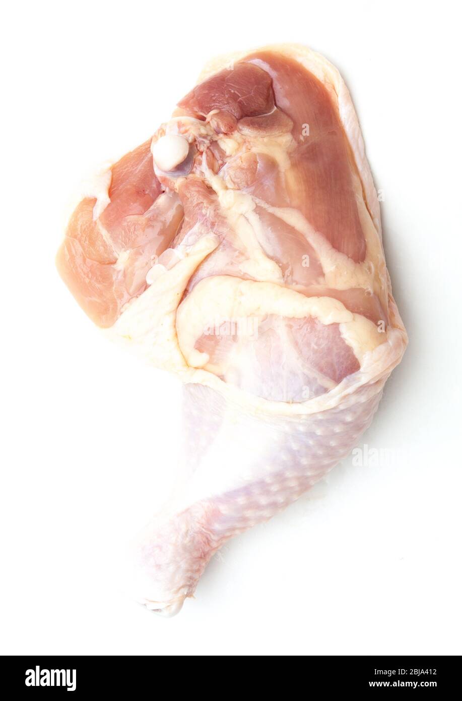 raw chicken leg isolated on white background Stock Photo - Alamy