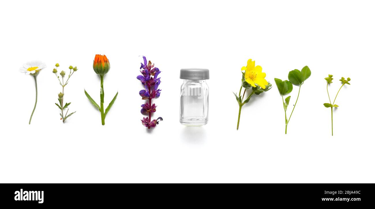 Different healing flowers on light background Stock Photo - Alamy