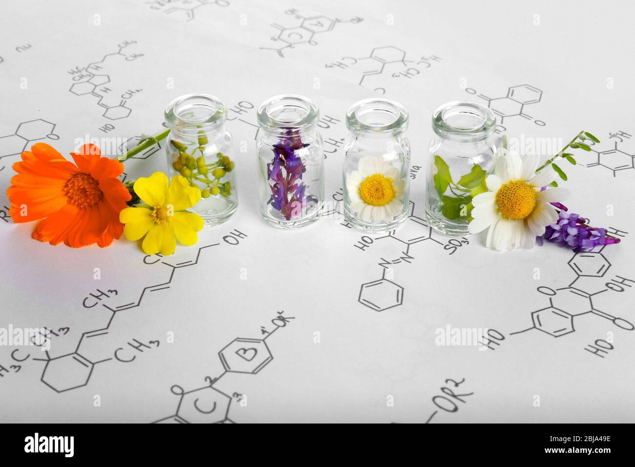 Different healing flowers in small glass bottles on paper with ...