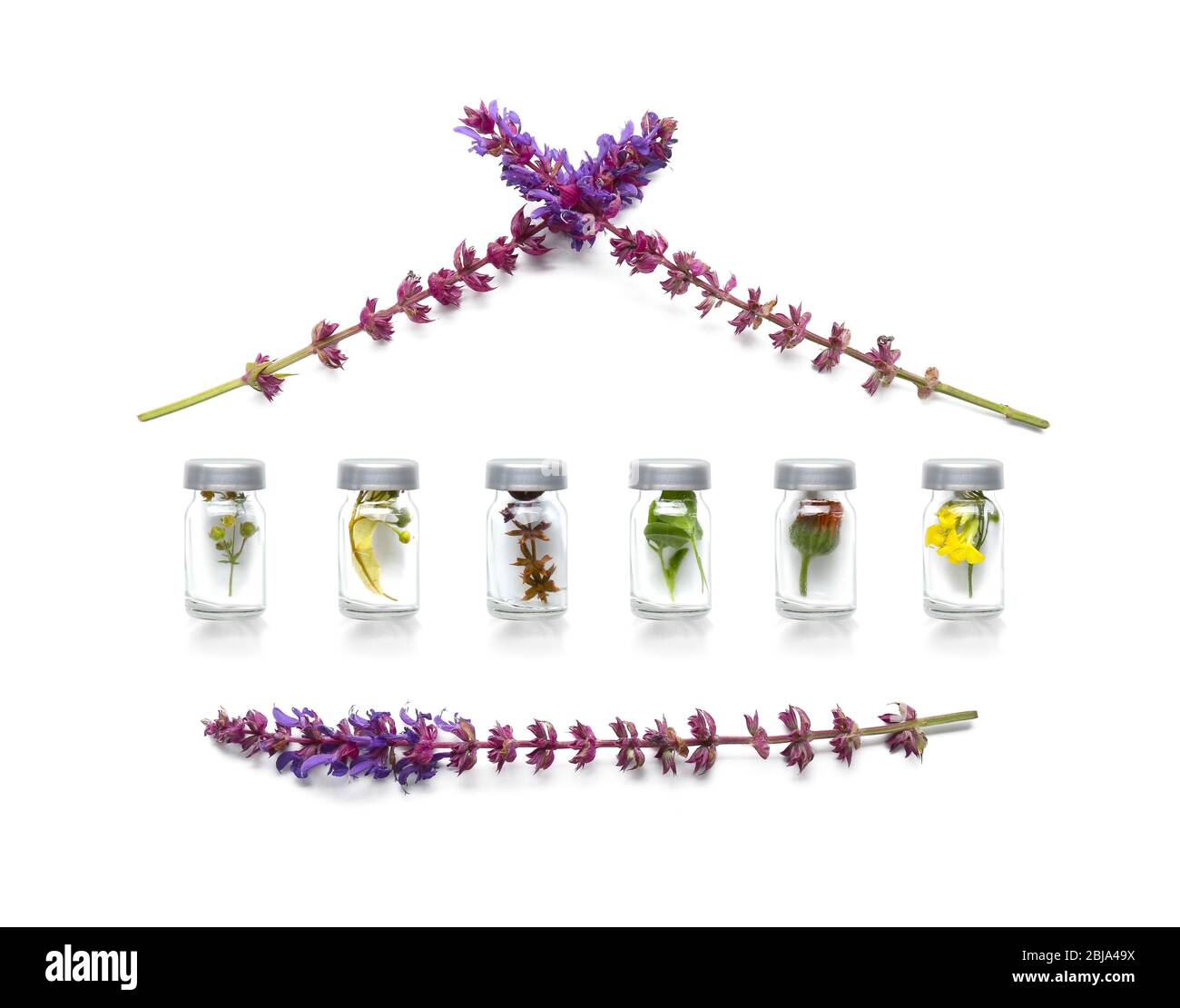 Different healing flowers in house shape on light background Stock ...