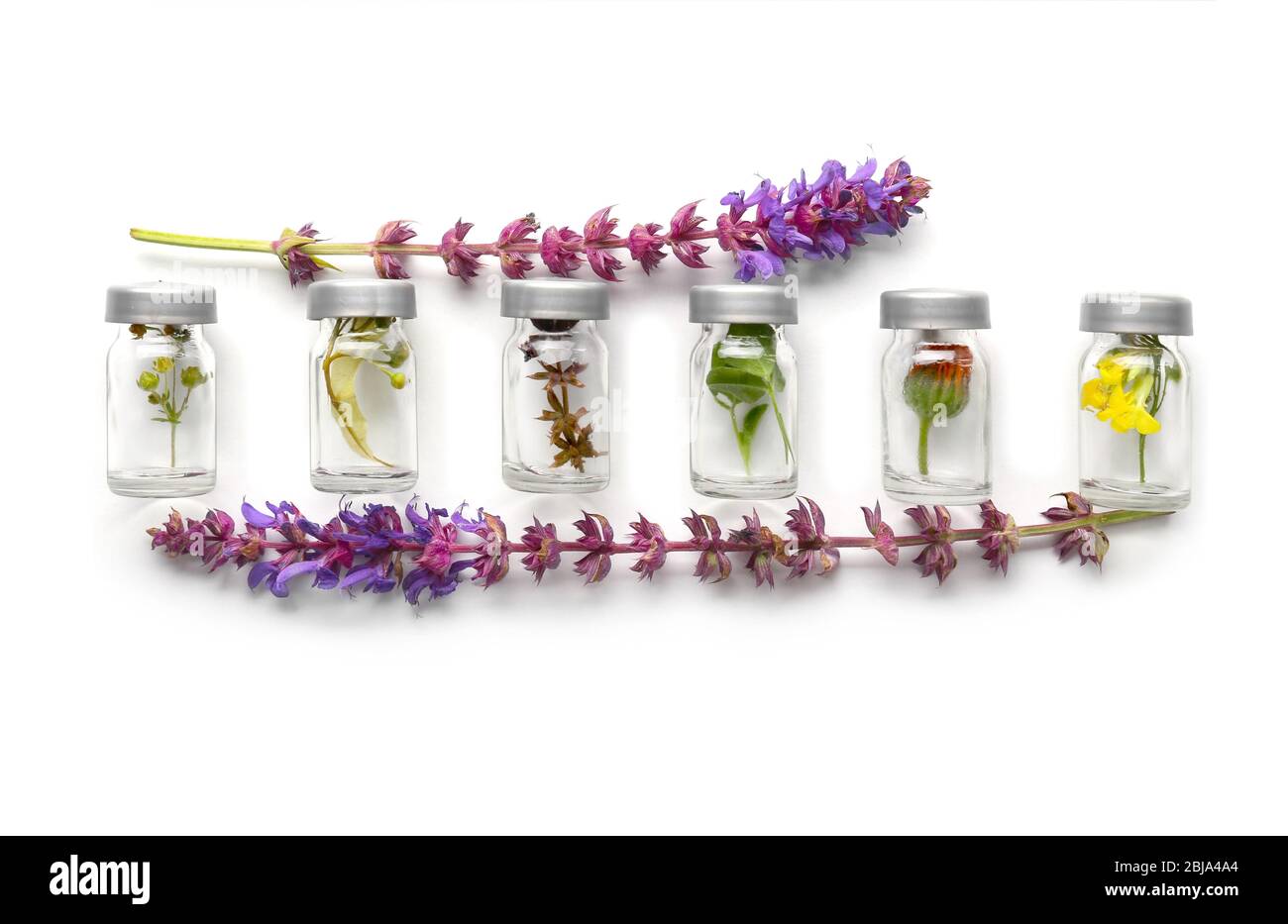 Grass and flowers background top view Cut Out Stock Images & Pictures ...