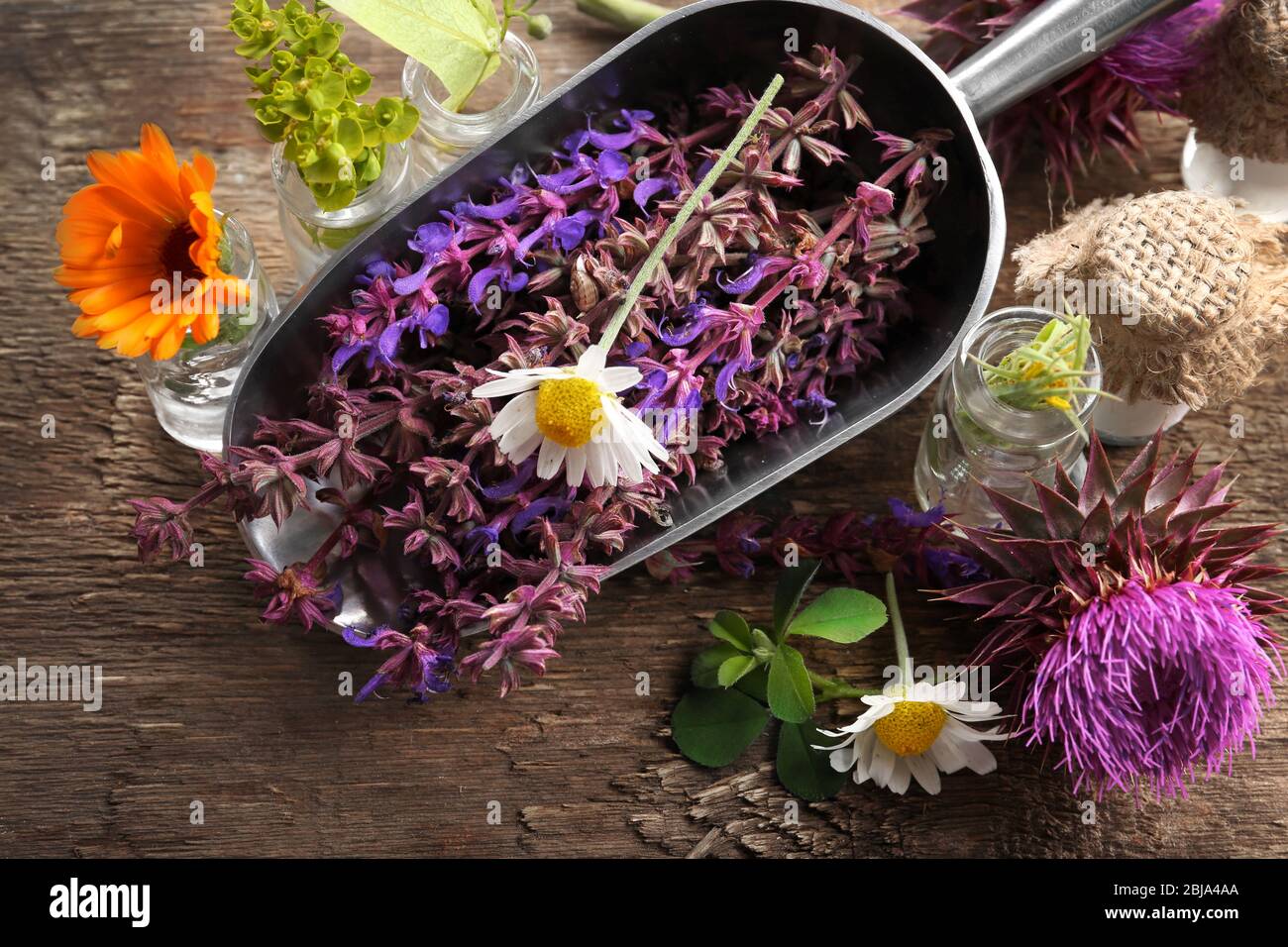 Composition with healing flowers in metallic scoop and small glass ...