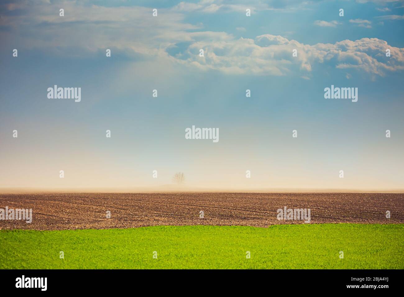 Dust storm in dry fields, dry weather infuenced by climate change Stock ...