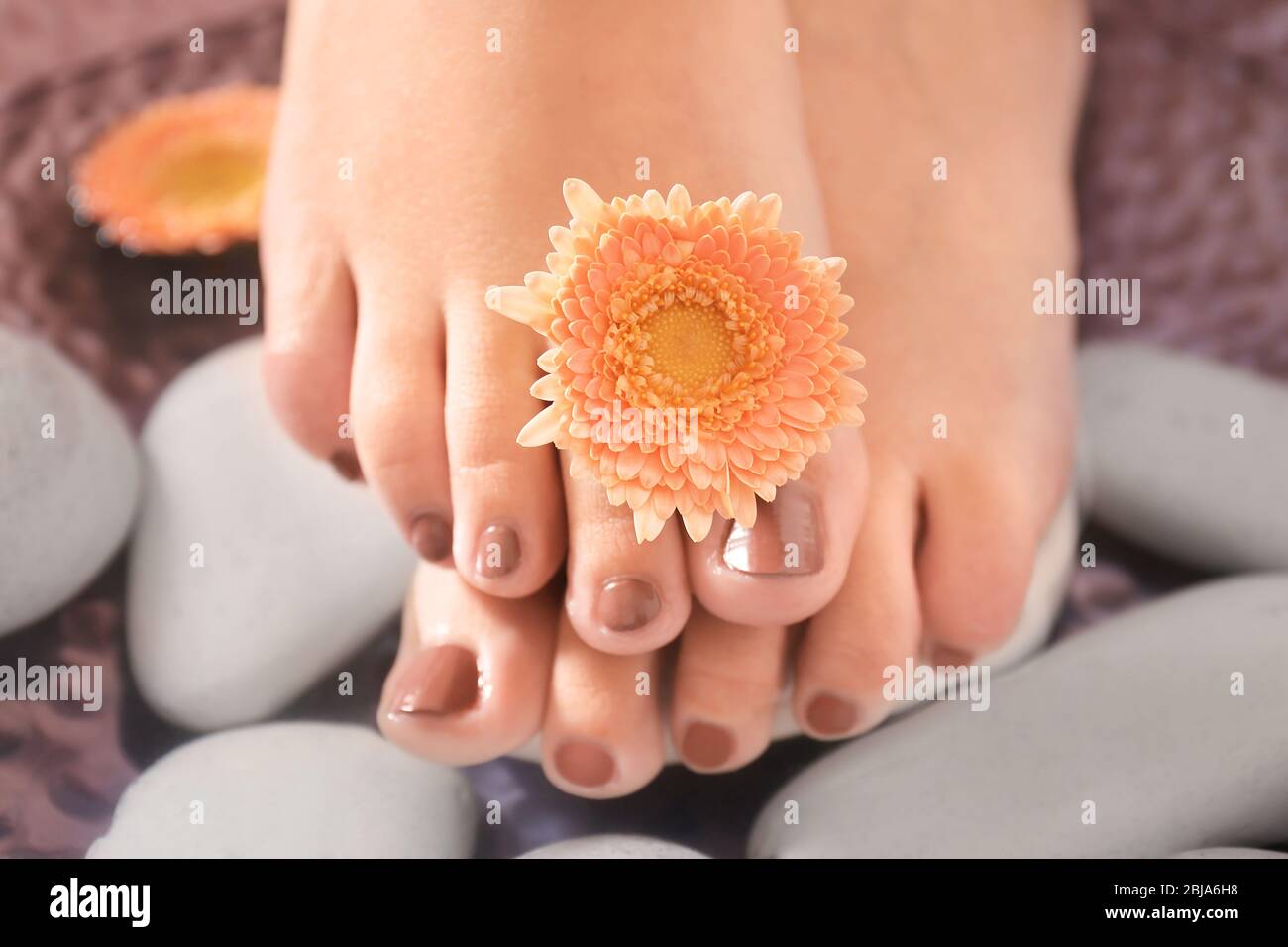 Female feet on spa stones, closeup Stock Photo - Alamy