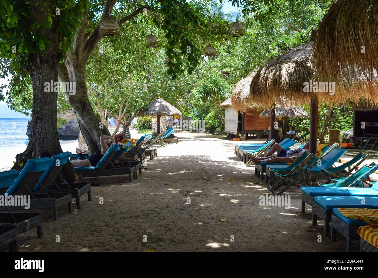 Canopy tree shade hi-res stock photography and images - Alamy