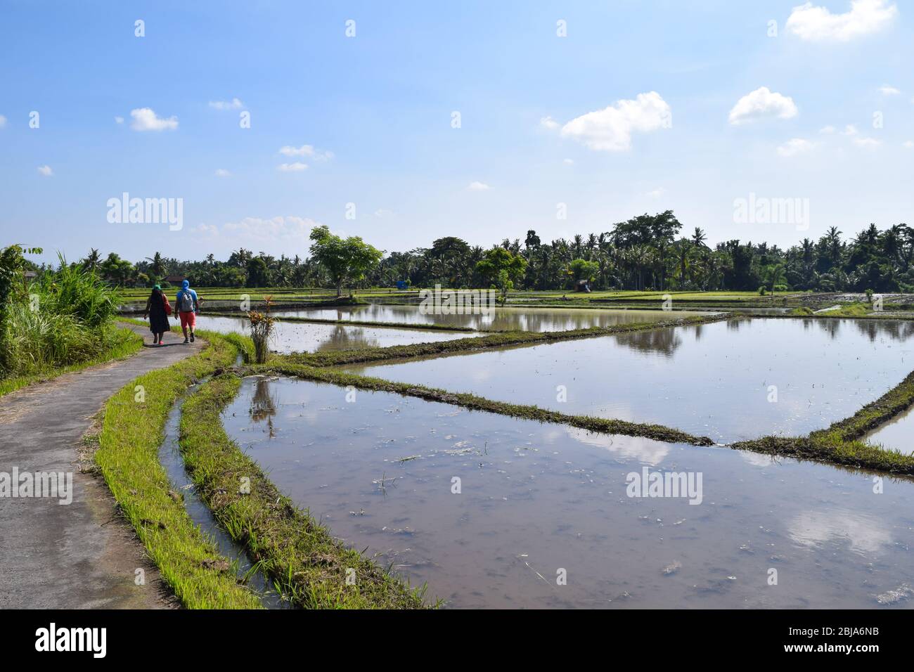 Covered irrigation hi-res stock photography and images - Alamy