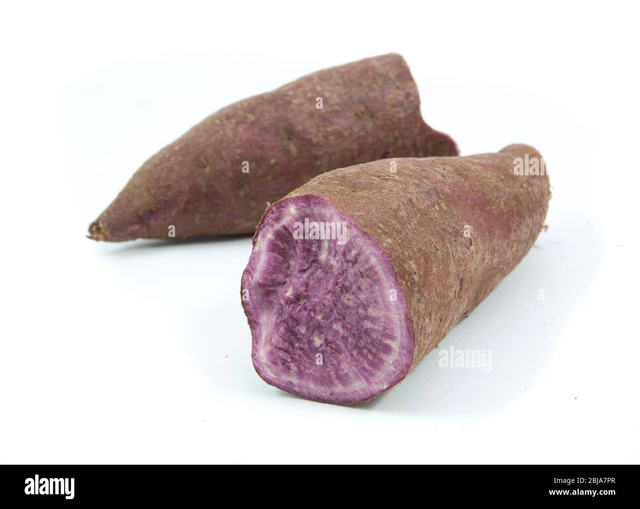 tapioca plants cassava closeup isolated on white background Stock Photo ...