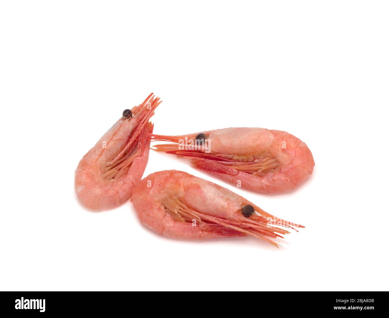Macro closeup cooked shrimp Cut Out Stock Images & Pictures - Alamy