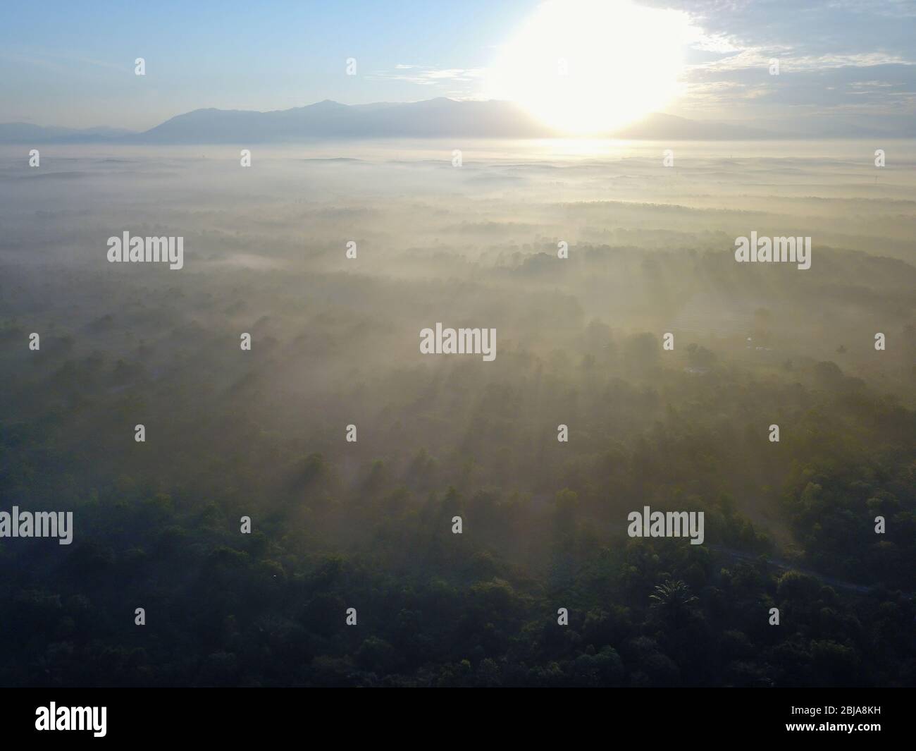 Aerial view foggy forest in morning. Sunray diffuse through the forest ...