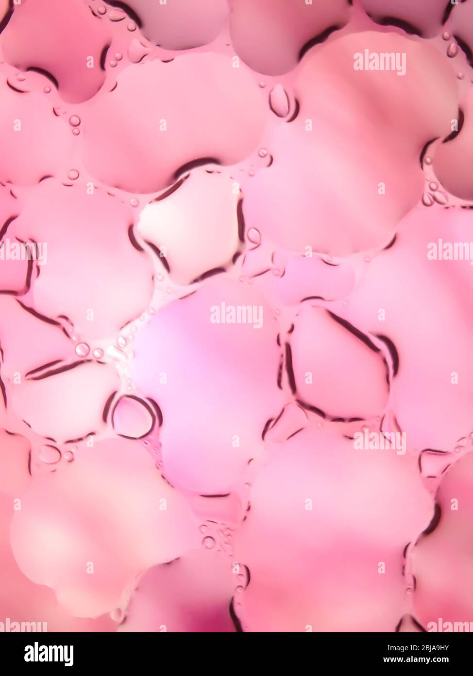 pink bubbles transparent background Stock Photo - Alamy