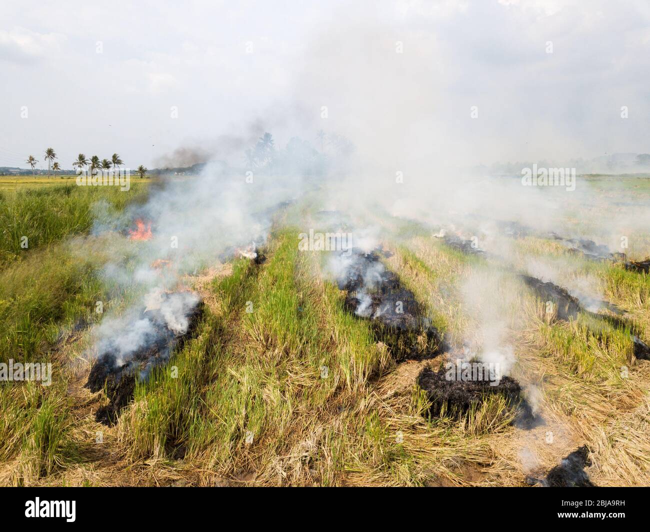 Aerial view smoke release from burning of paddy field Stock Photo - Alamy