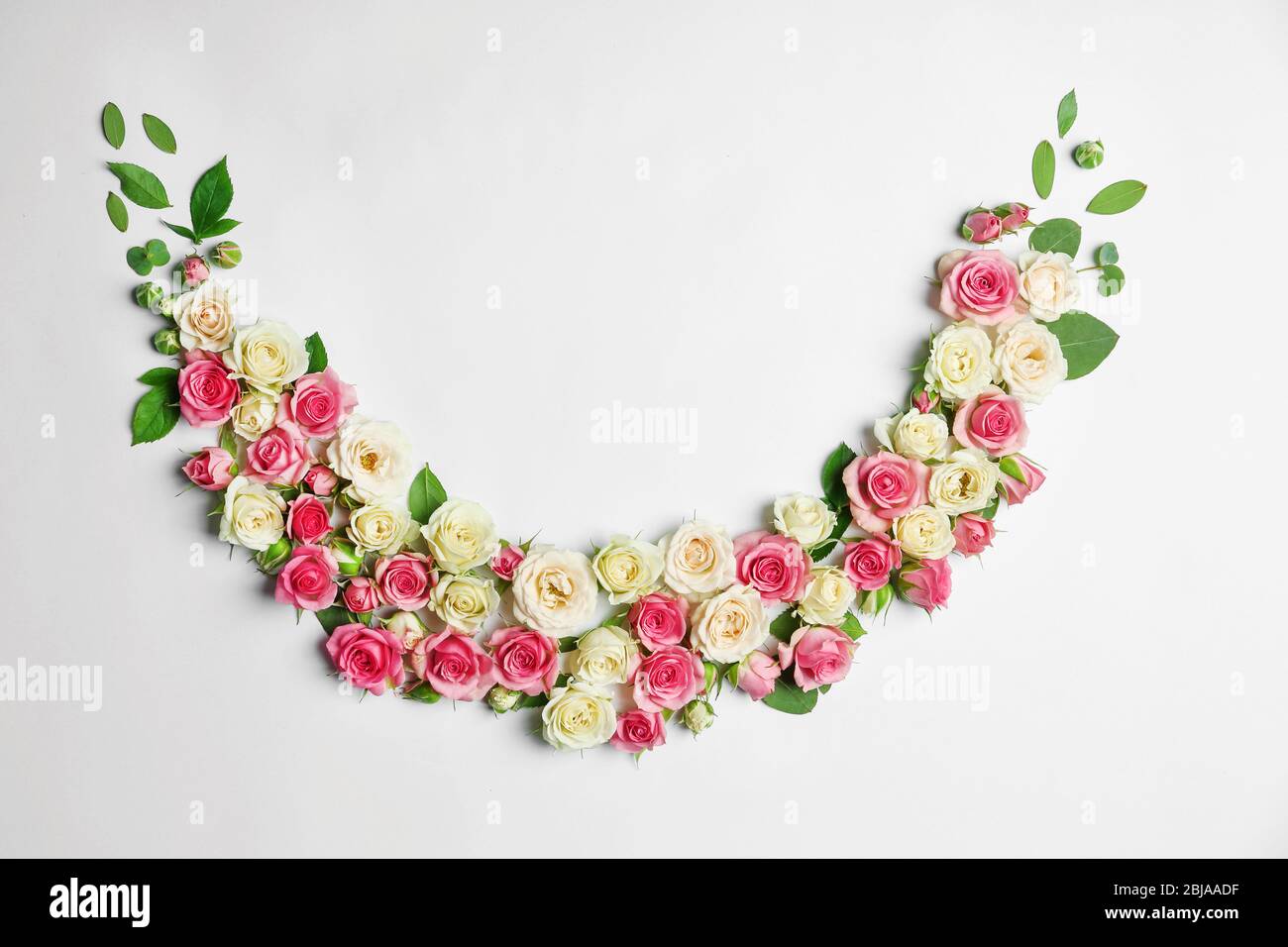 Assorted roses heads on white background Stock Photo - Alamy