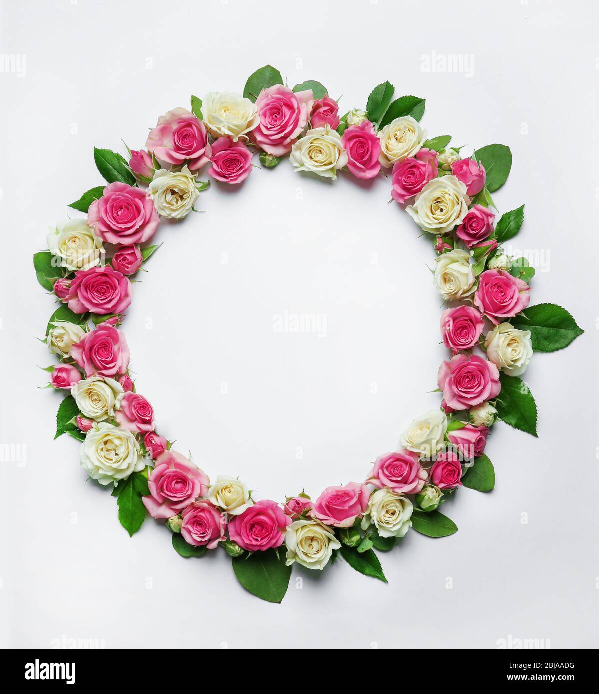 Assorted roses heads on white background Stock Photo - Alamy