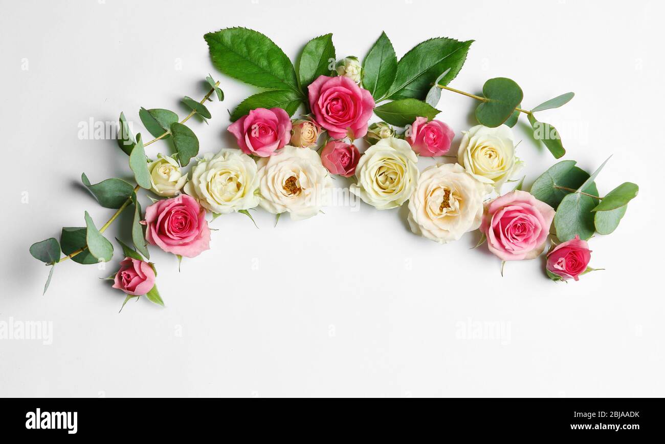 Assorted roses heads on white background Stock Photo - Alamy