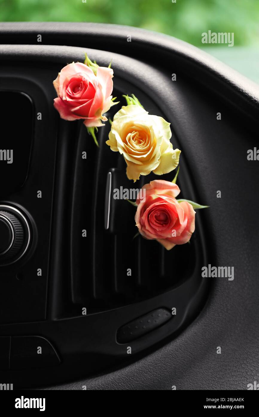 Black rose drive hi-res stock photography and images - Alamy