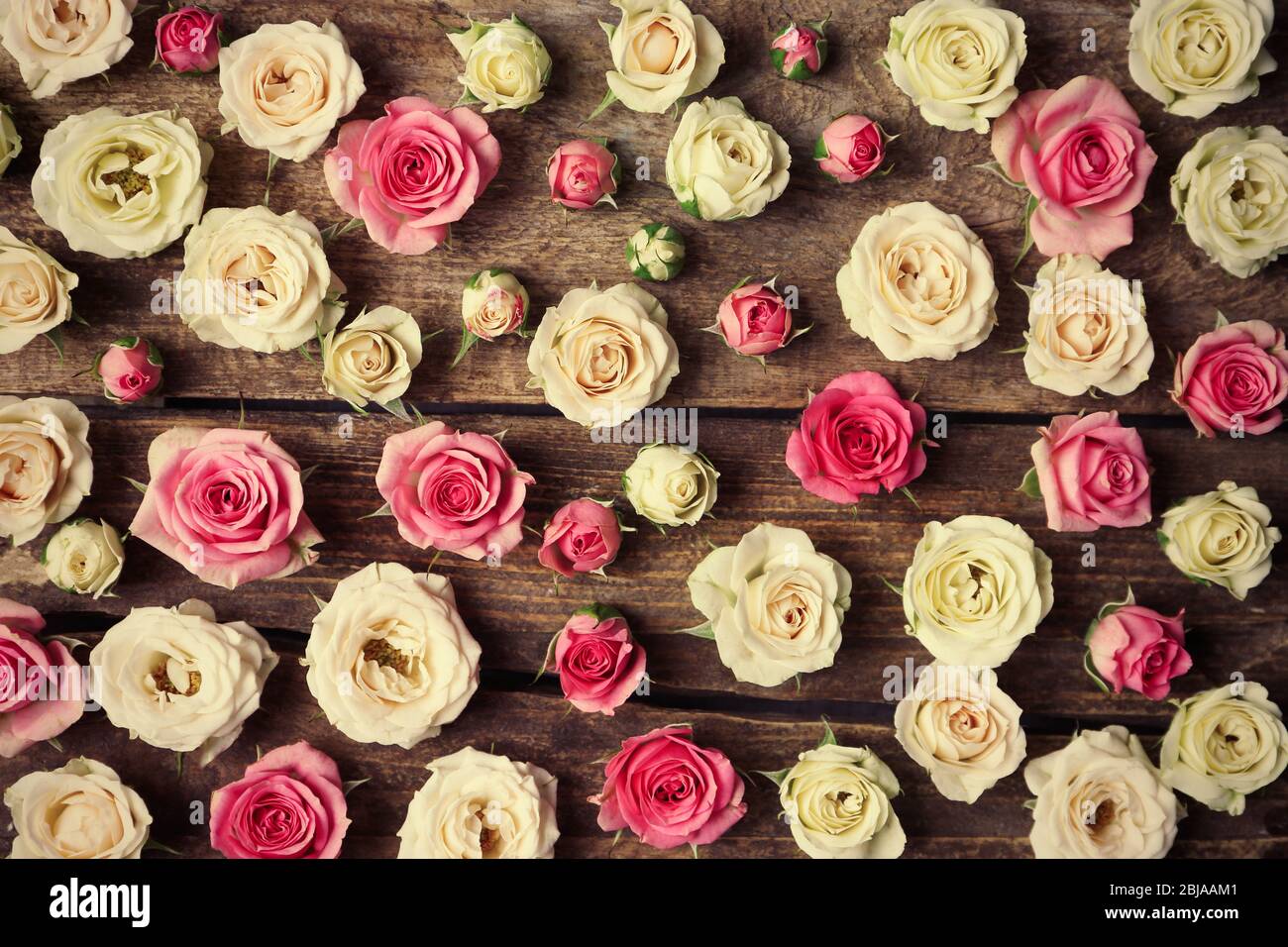 Roses heads hi-res stock photography and images - Alamy