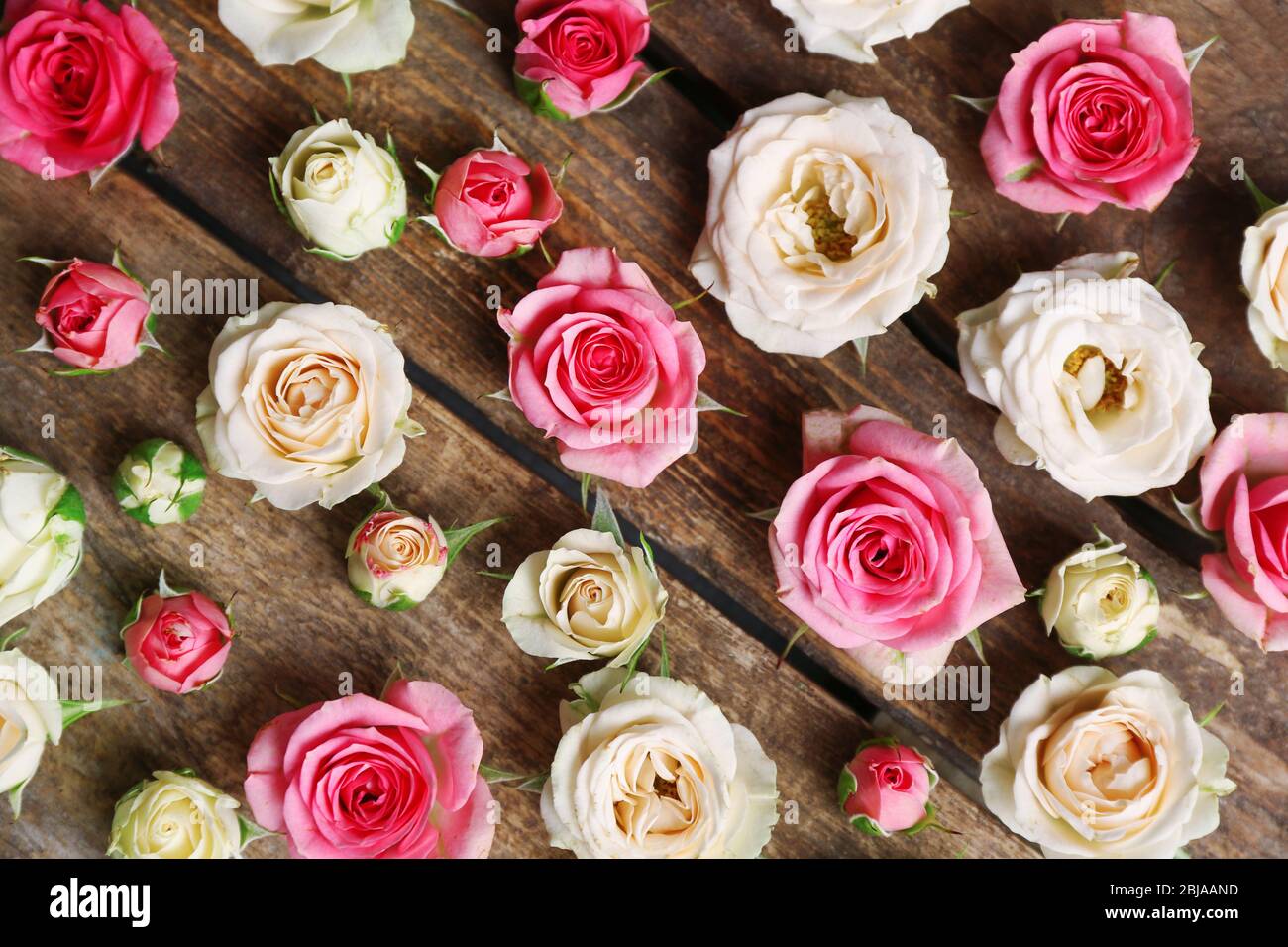 Roses heads hi-res stock photography and images - Alamy