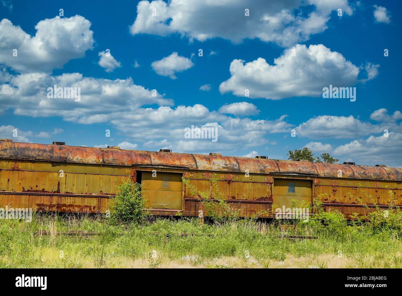Rusty Train Cars in Weeds Stock Photo - Alamy