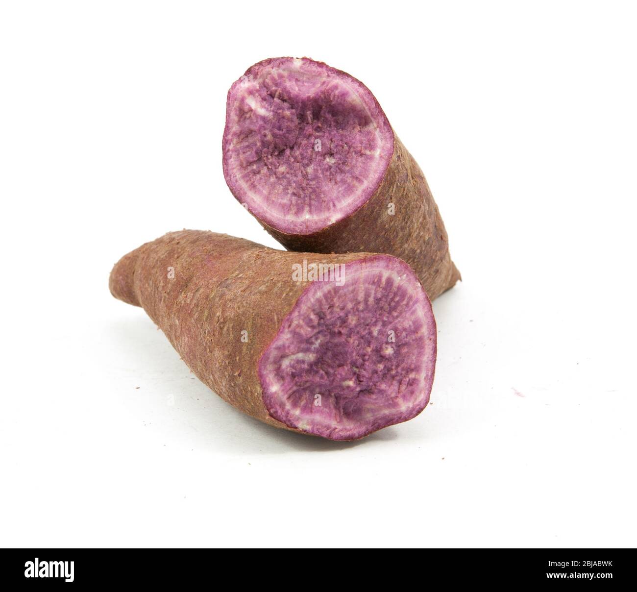 tapioca plants cassava closeup isolated on white background Stock Photo ...