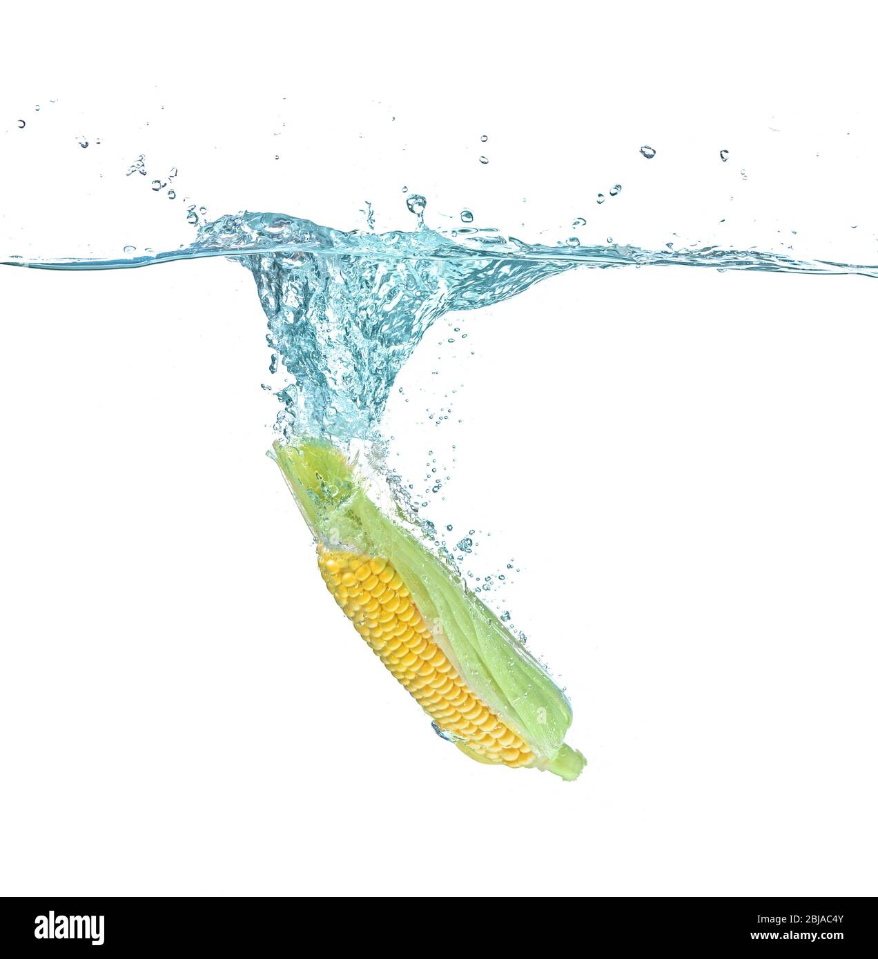 Fresh corn falling in water on white background Stock Photo - Alamy