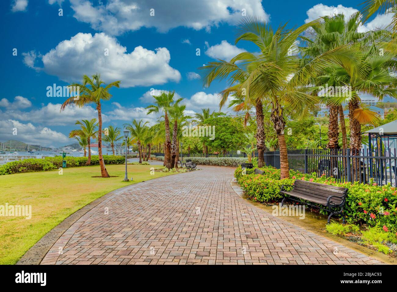 Walkway and Bench Along Palm Trees Stock Photo - Alamy
