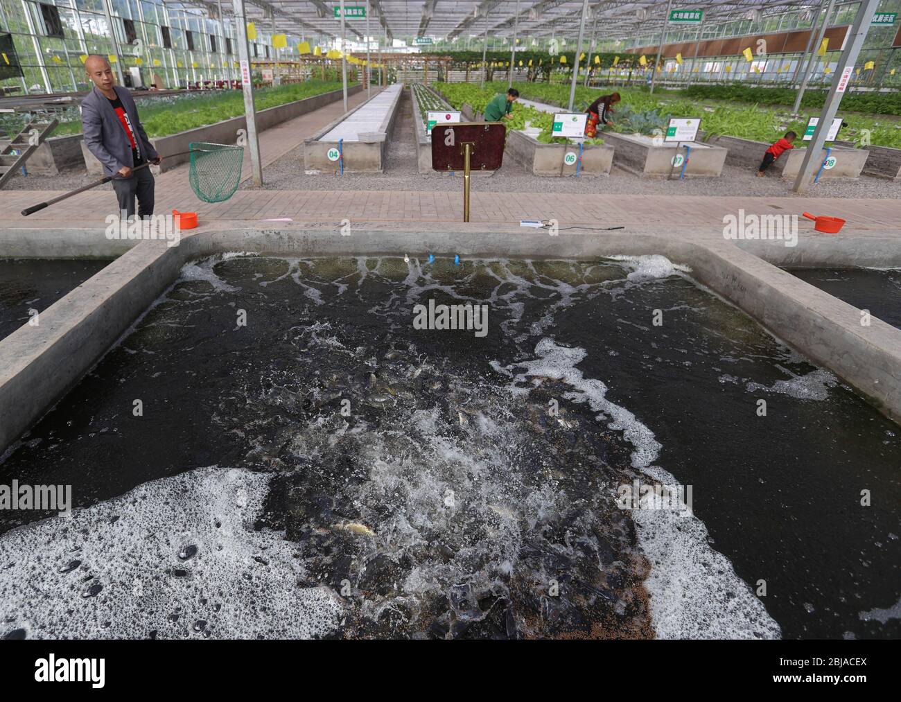 Depleted fish resources hi-res stock photography and images - Alamy