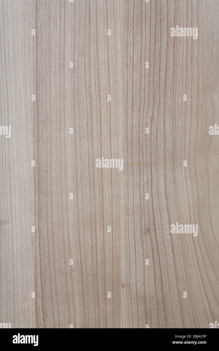 High resolution blonde wood texture Stock Photo - Alamy