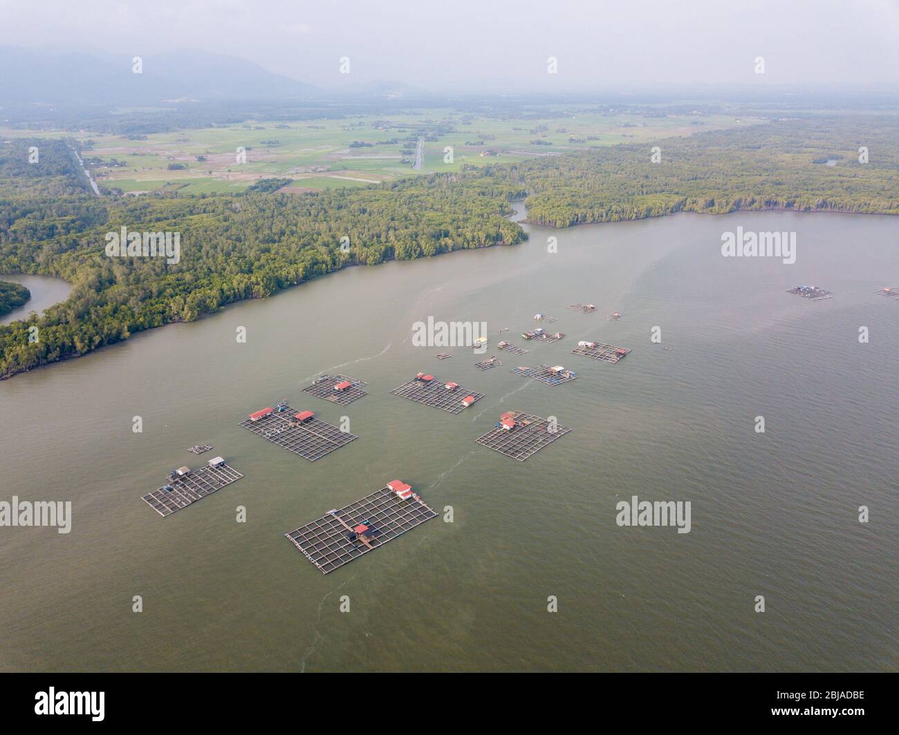 Merbok hi-res stock photography and images - Alamy