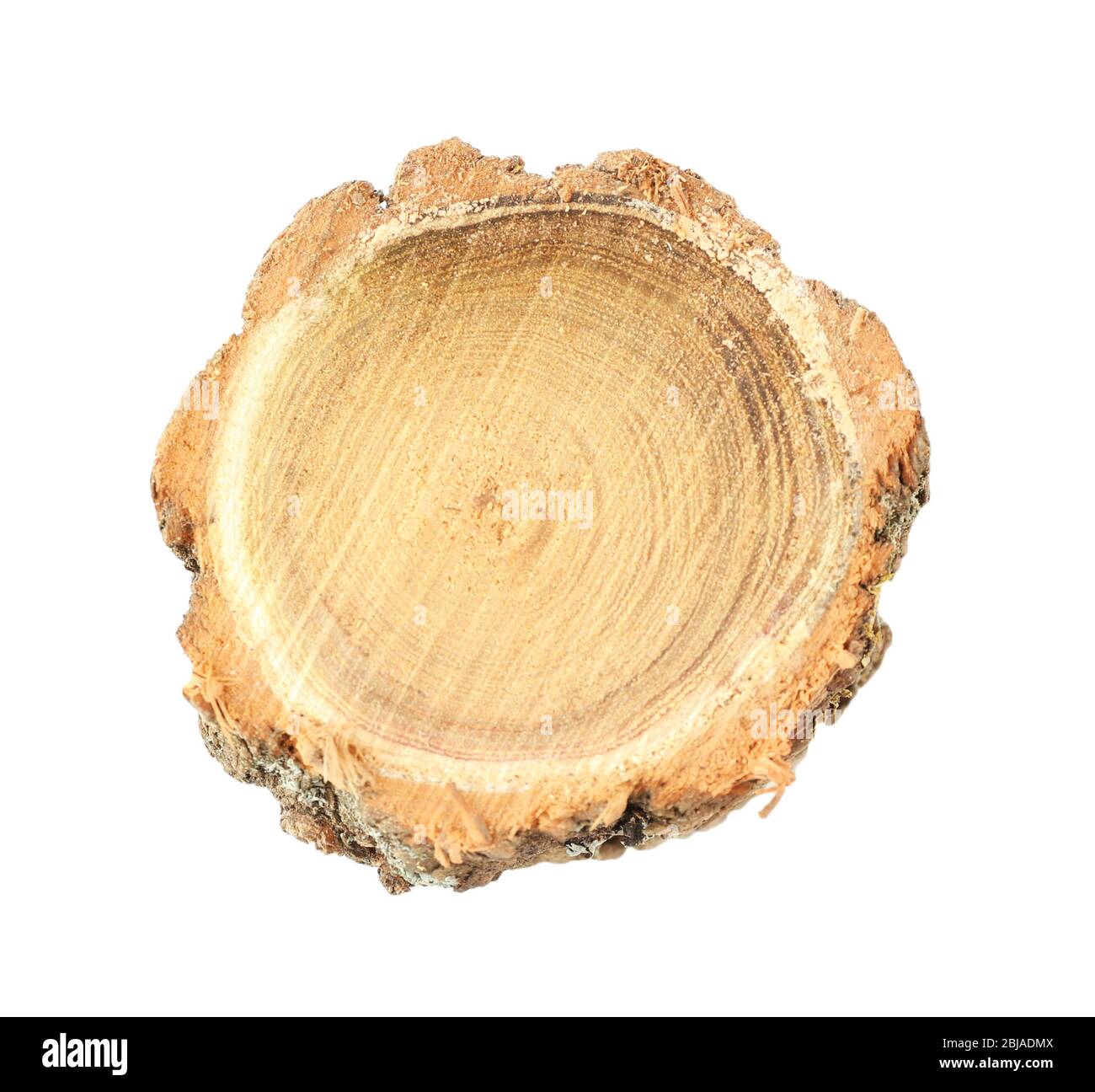 Tree trunk cross section, isolated on white Stock Photo - Alamy