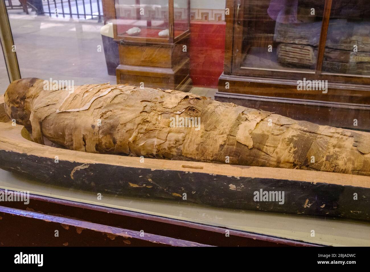 Cairo / Egypt - May 25, 2019: Ancient Egyptian sarcophagi and mummy ...